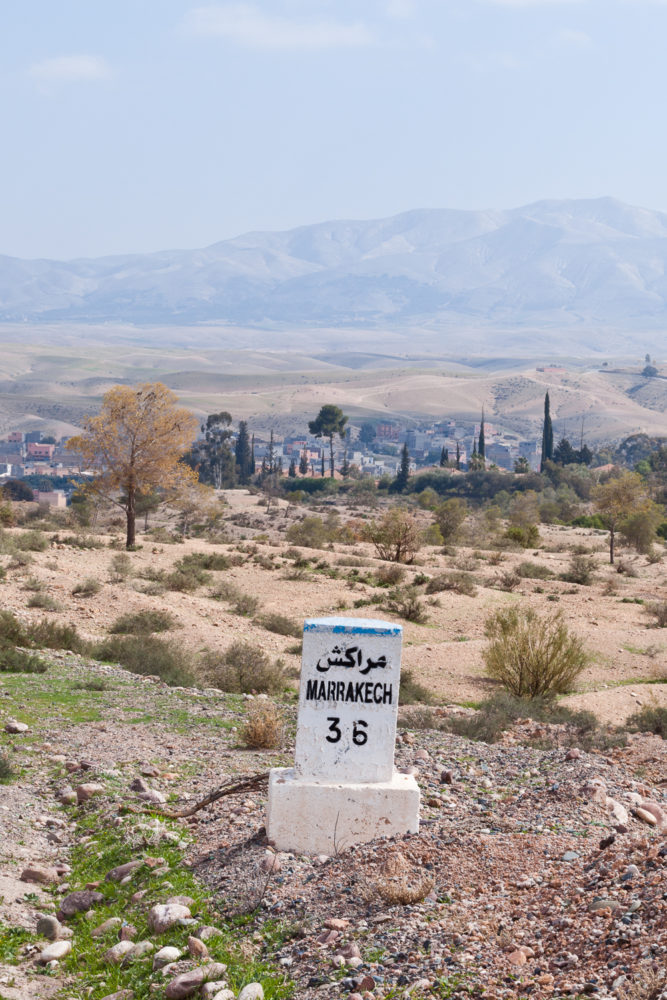 Looking for Hamza : Fred Lahache