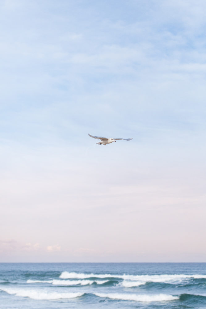 Good Morning Tapes for Record Magazine : Fred Lahache